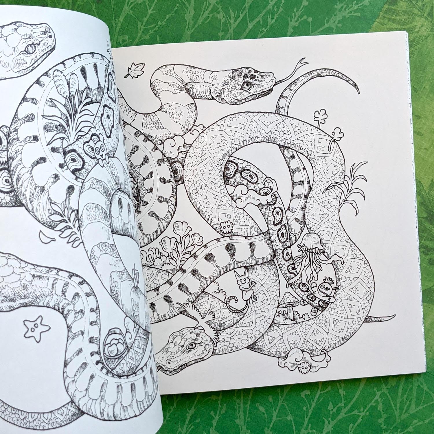 animorphia coloring pages free