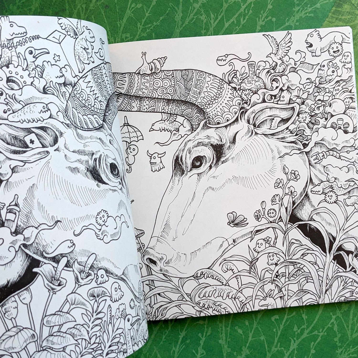 animorphia coloring pages free