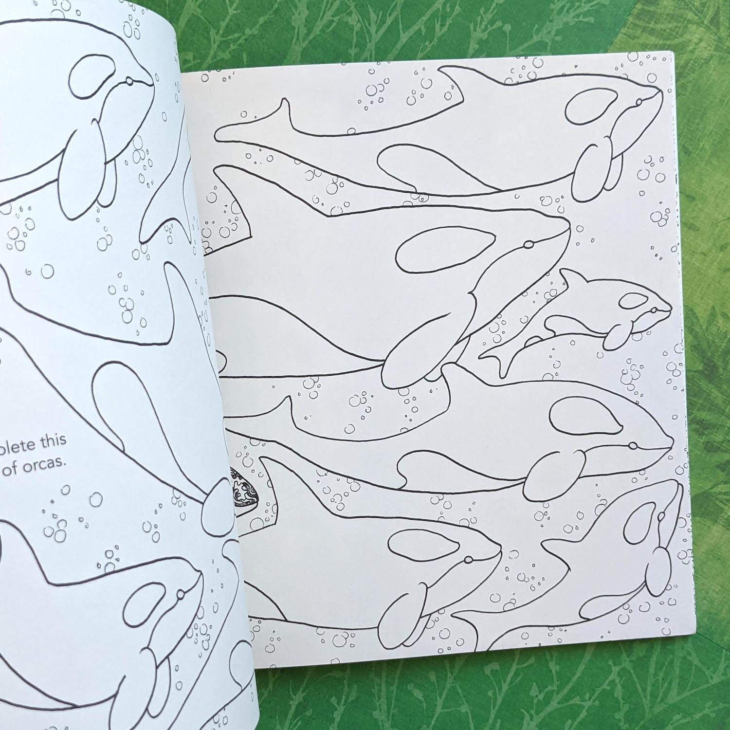 animorphia coloring pages free