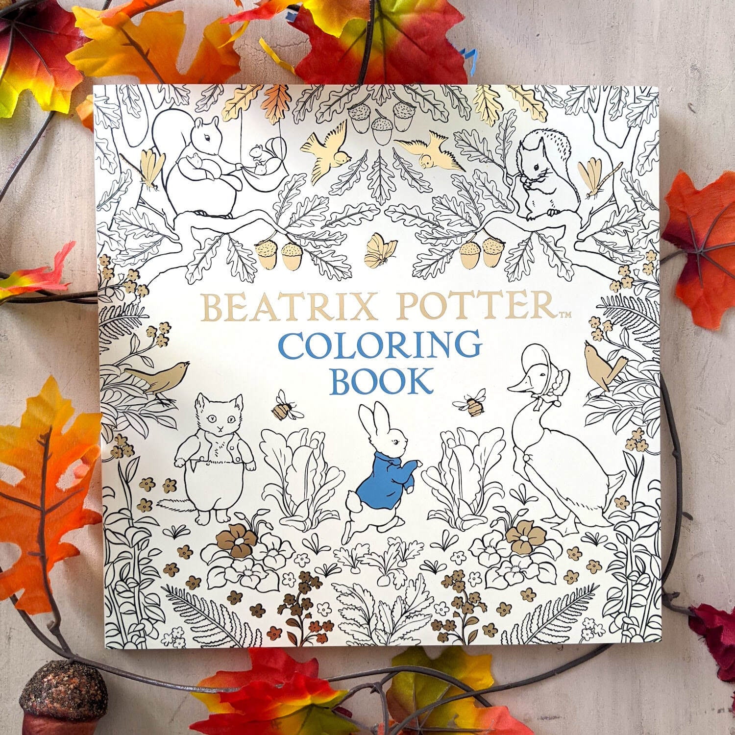beatrix potter coloring pages